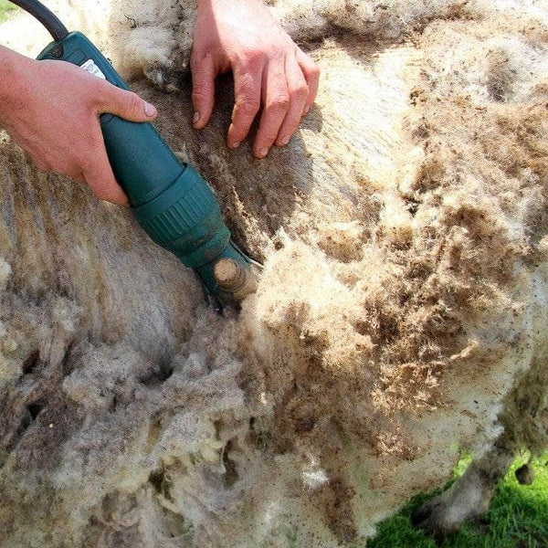 Wiggly Woolch - Raw Sheep’s WOOL MULCH – Wiggly Wigglers