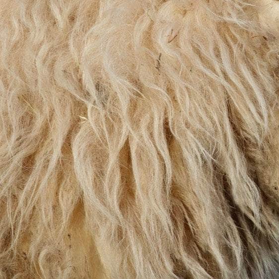 Wiggly Woolch - Raw Sheep’s WOOL MULCH – Wiggly Wigglers