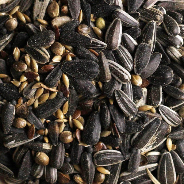 Subscribe and Save Wiggly Seed Extra – Wiggly Wigglers