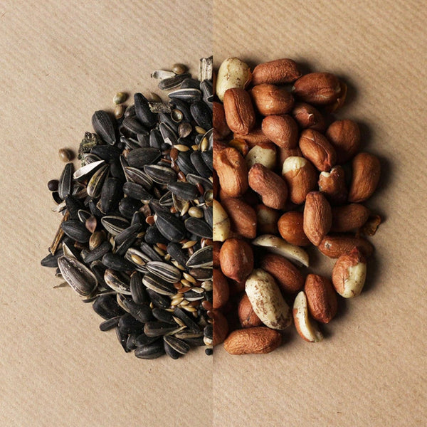 6kg of Wiggly Seed + 6kg of Peanuts – Wiggly Wigglers