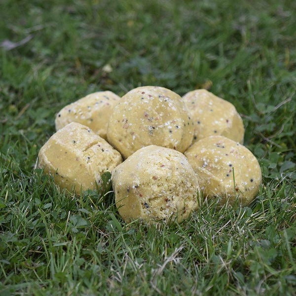 British Insect Fatballs – Wiggly Wigglers